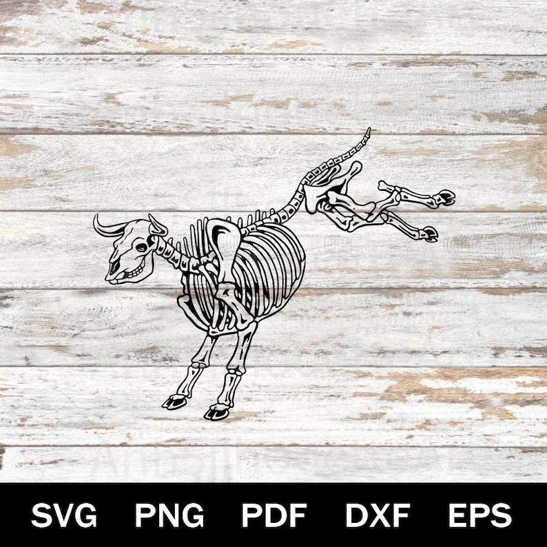 Bucking Bull Skeleton SVG, Rodeo Skull Cut File, Cowboy Western Digital ...
