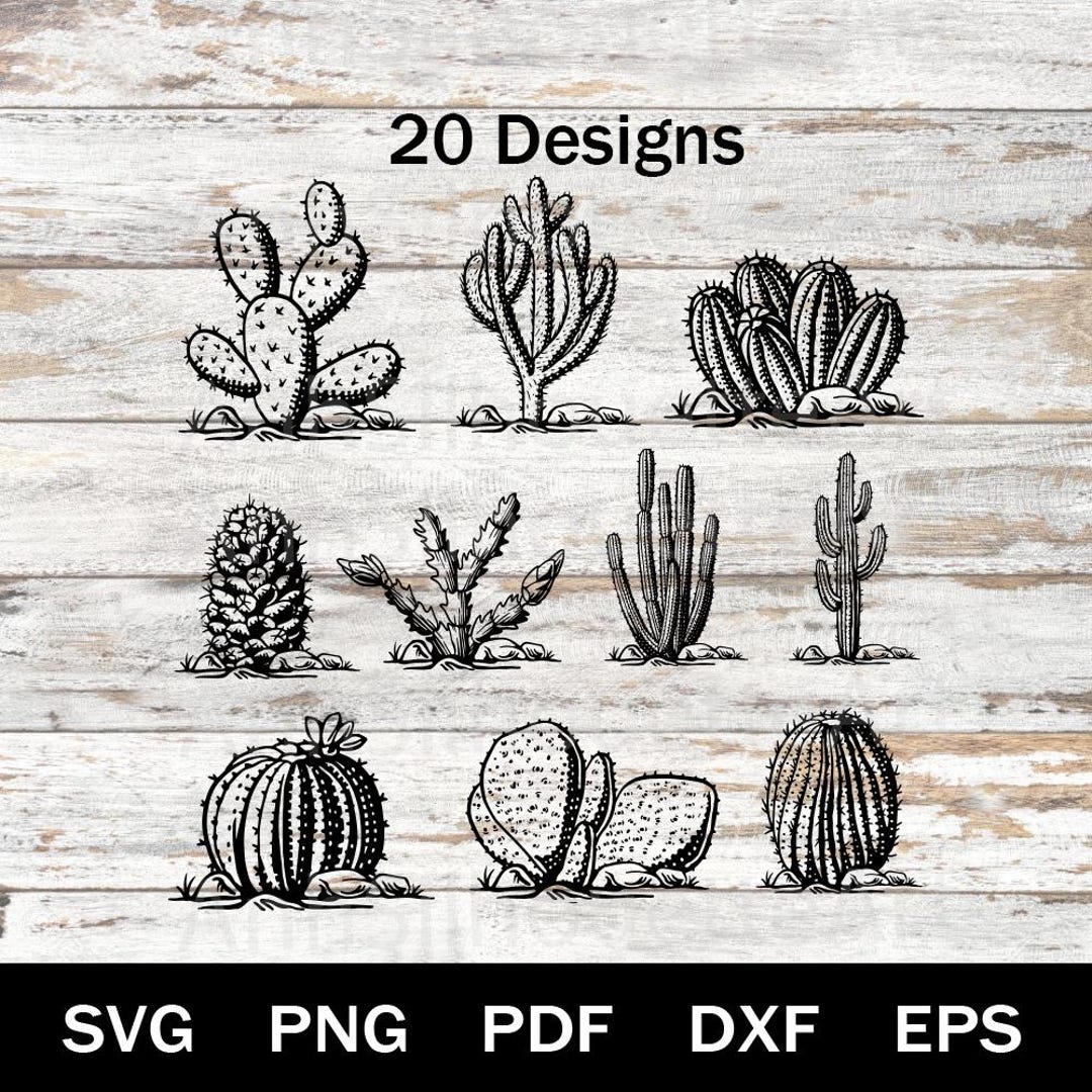 Cactus Svg Png Bundle, Desert Plants Hand-drawn Clipart, Southwestern ...