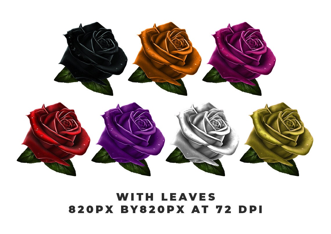 Realistic Rose Clip Art - Transparent Digital Download - 5 Colors - Etsy