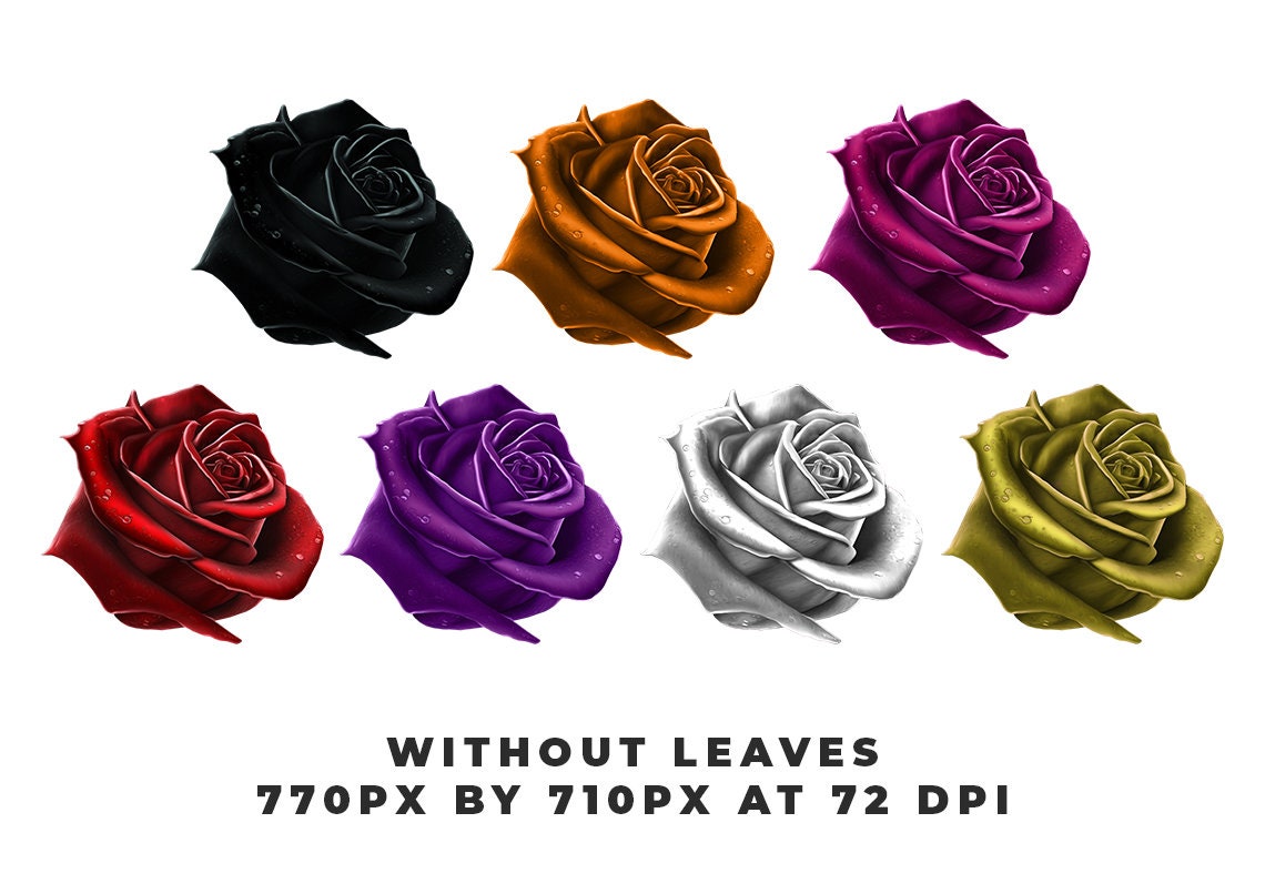 Realistic Rose Clip Art - Transparent Digital Download - 5 Colors - Etsy