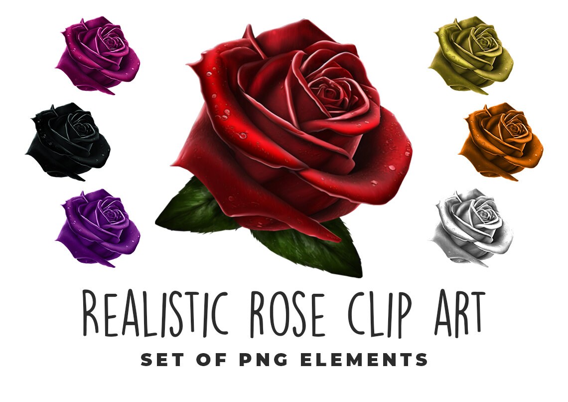 Realistic Rose Clip Art - Transparent Digital Download - 5 Colors - Etsy