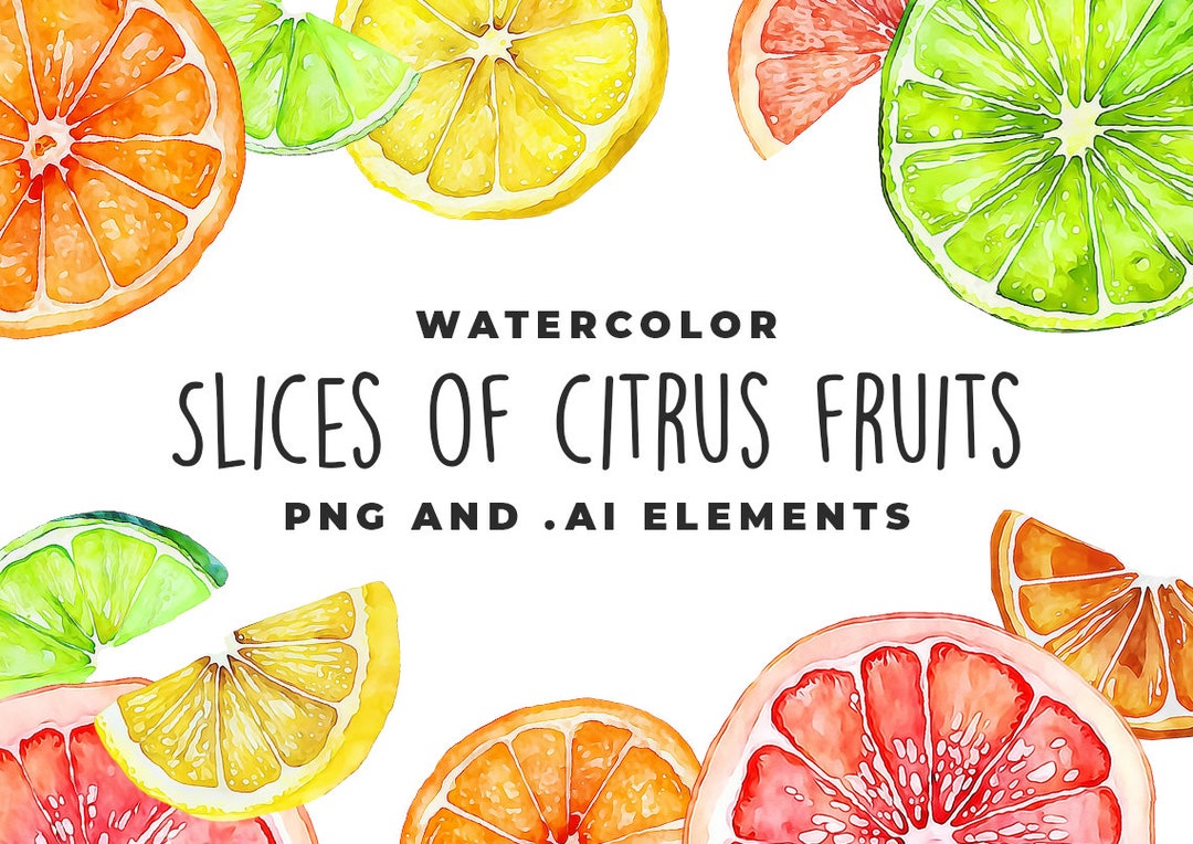 Watercolor Slices of Citrus Fruits - .ai and Png DIGITAL DOWNLOAD. - Etsy