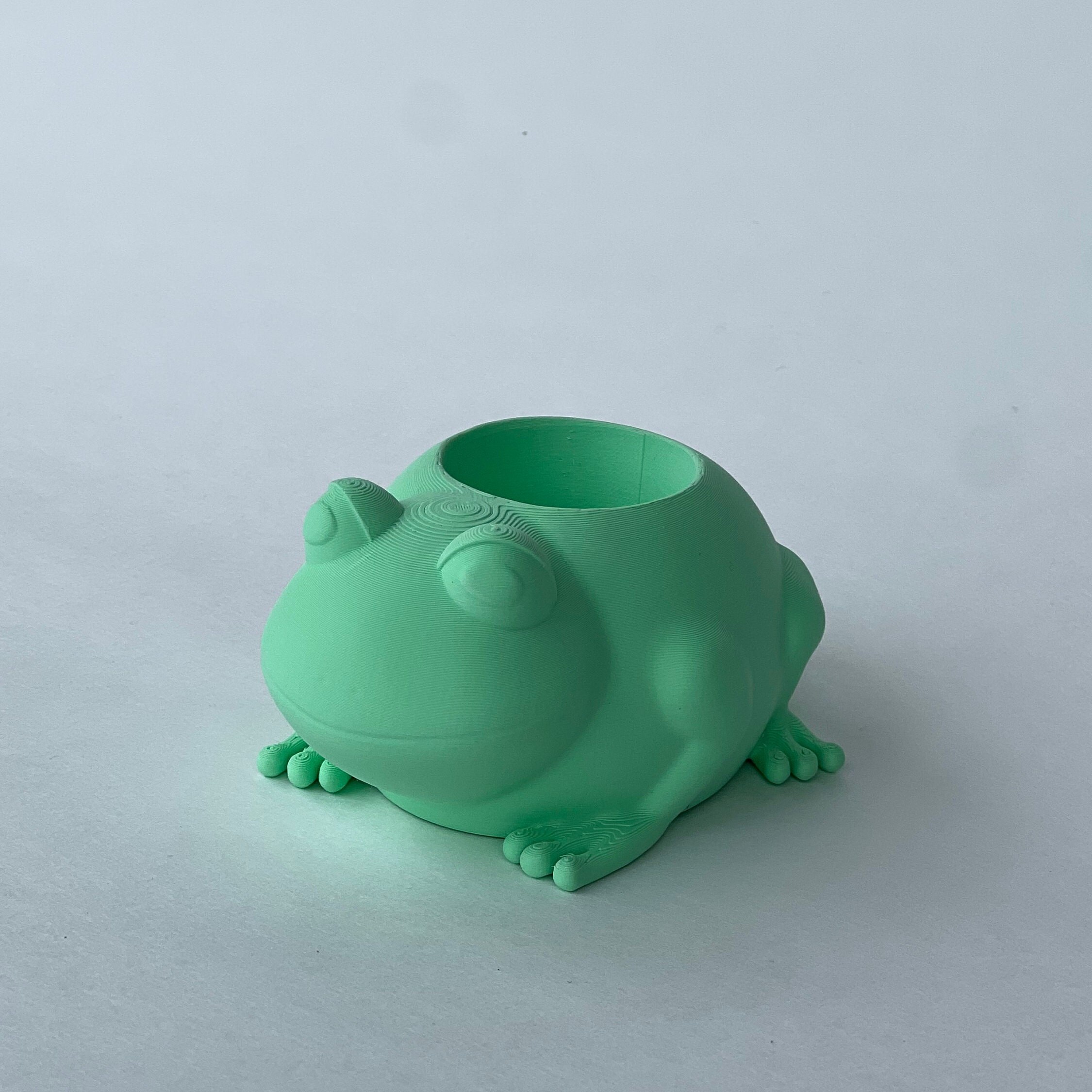 Frog Plant Pot | Frog Planter | Desk Organizer Decor | Office Accessory ...