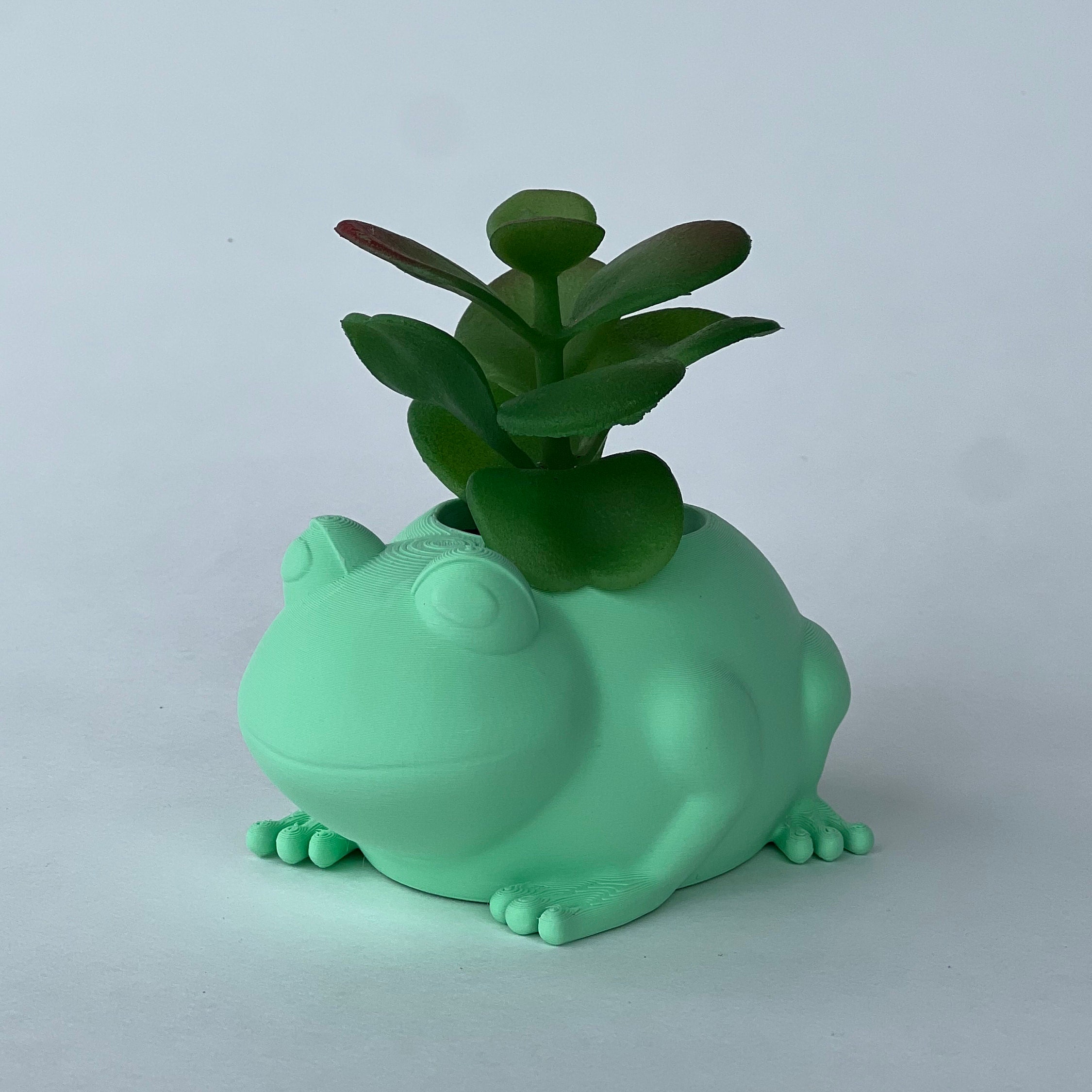 Frog Plant Pot | Frog Planter | Desk Organizer Decor | Office Accessory ...