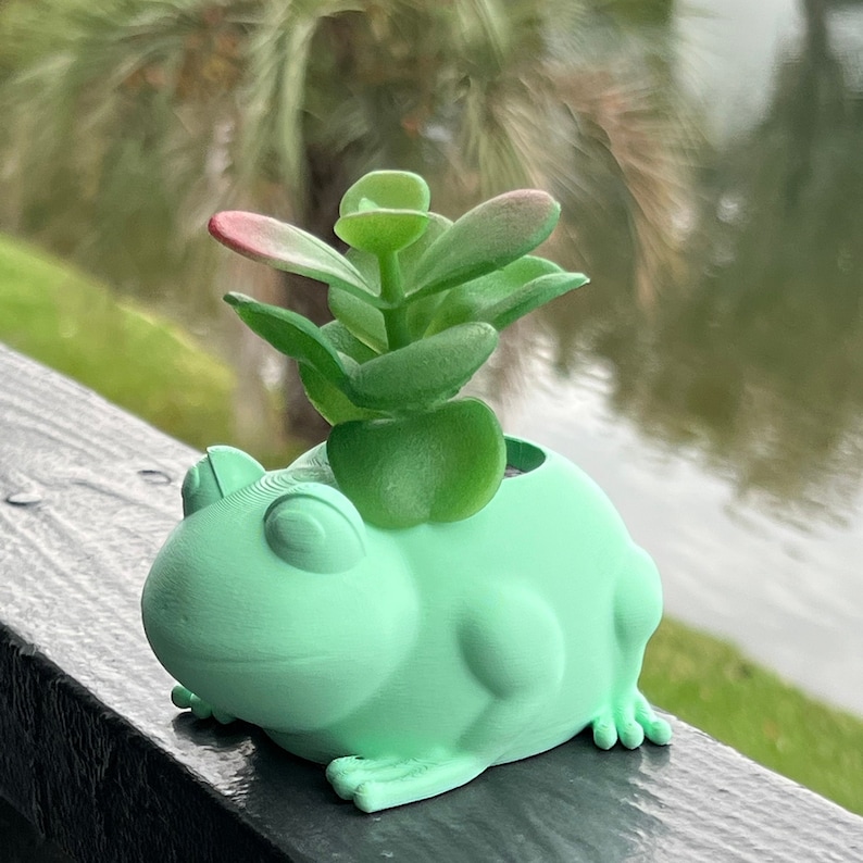 Frog Plant Pot | Frog Planter | Desk Organizer Decor | Office Accessory ...