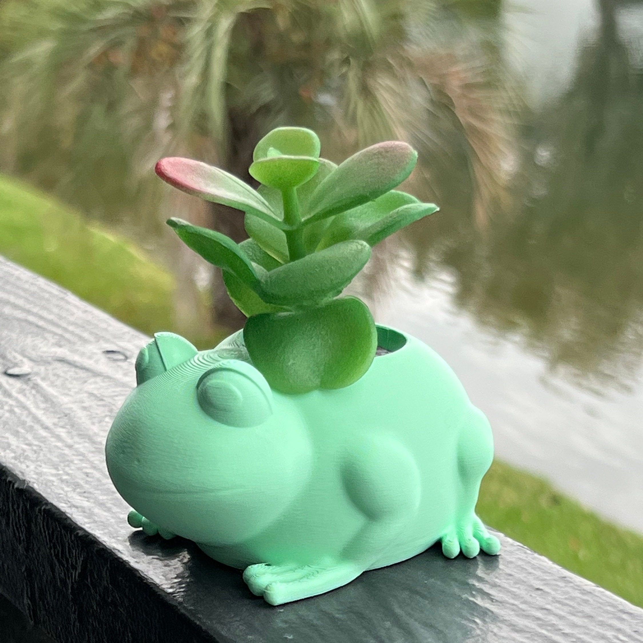 Frog Plant Pot | Frog Planter | Desk Organizer Decor | Office Accessory ...