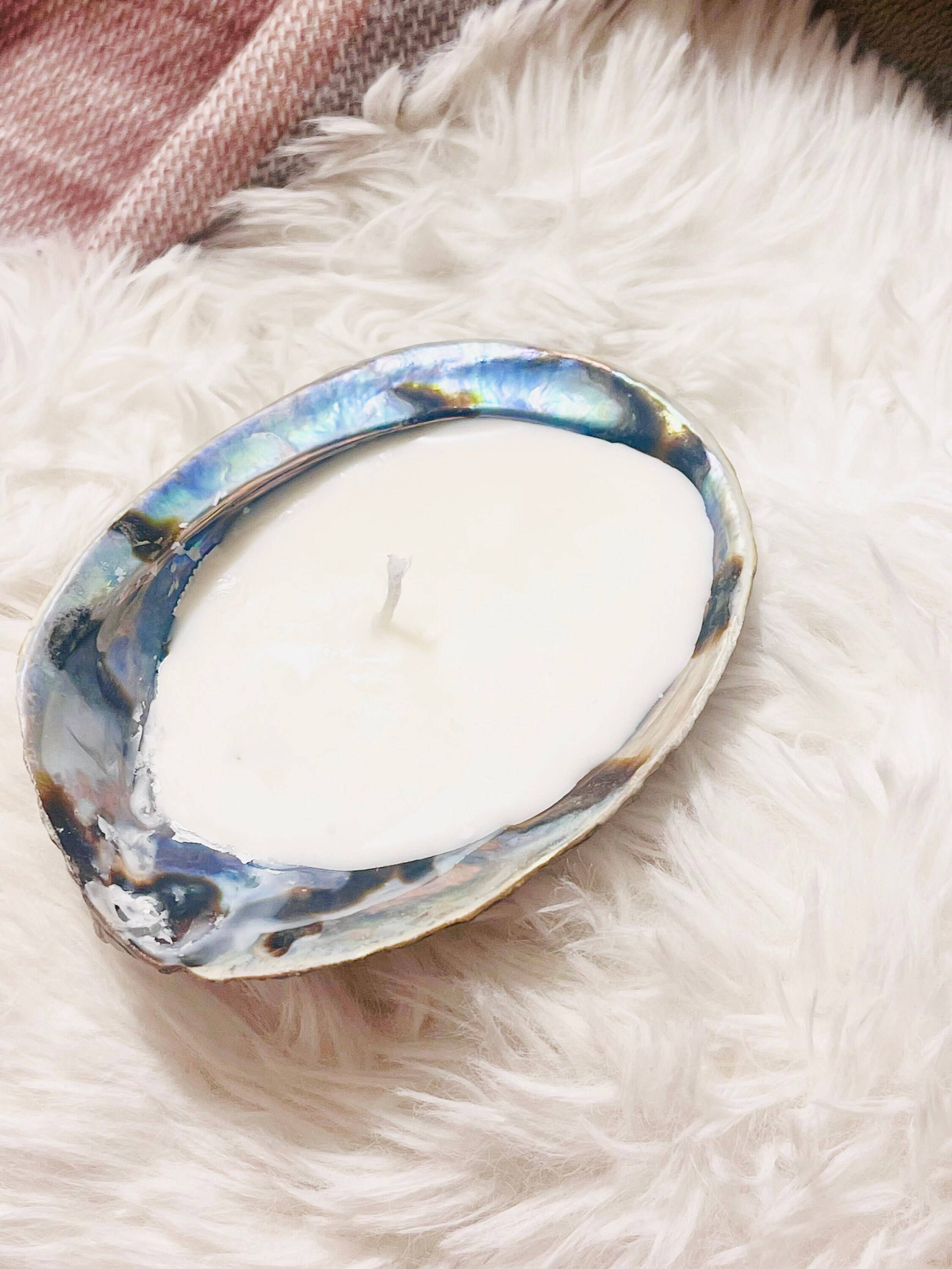 Sage Abalone Shell Candle - Etsy