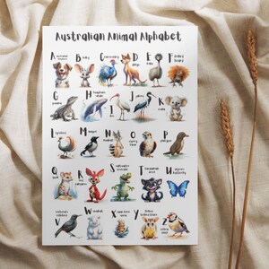 Educational Australian Animal Alphabet Poster - 3D Cartoon Style ...