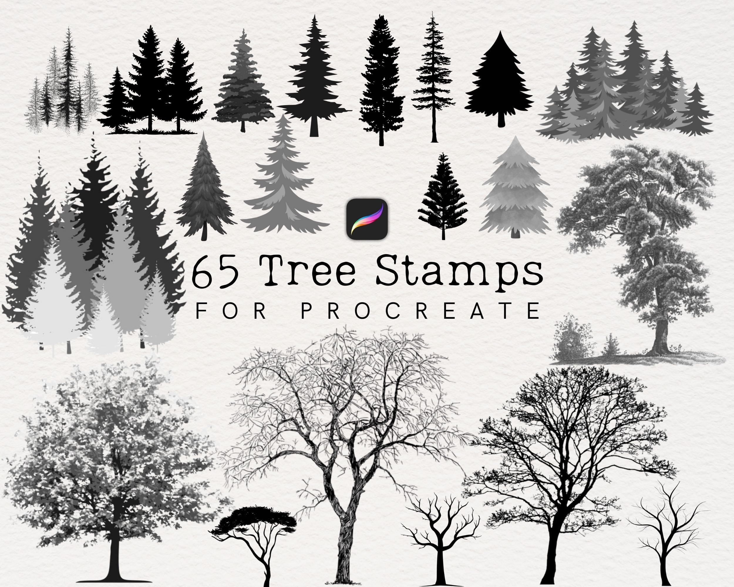 65 Realistic Tree Stamps for Procreate | Foliage, Silhouette Brushes ...