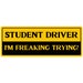 Beginner Driver, Student Driver Svg, Png, Pdf, New Driver Funny Svg ...