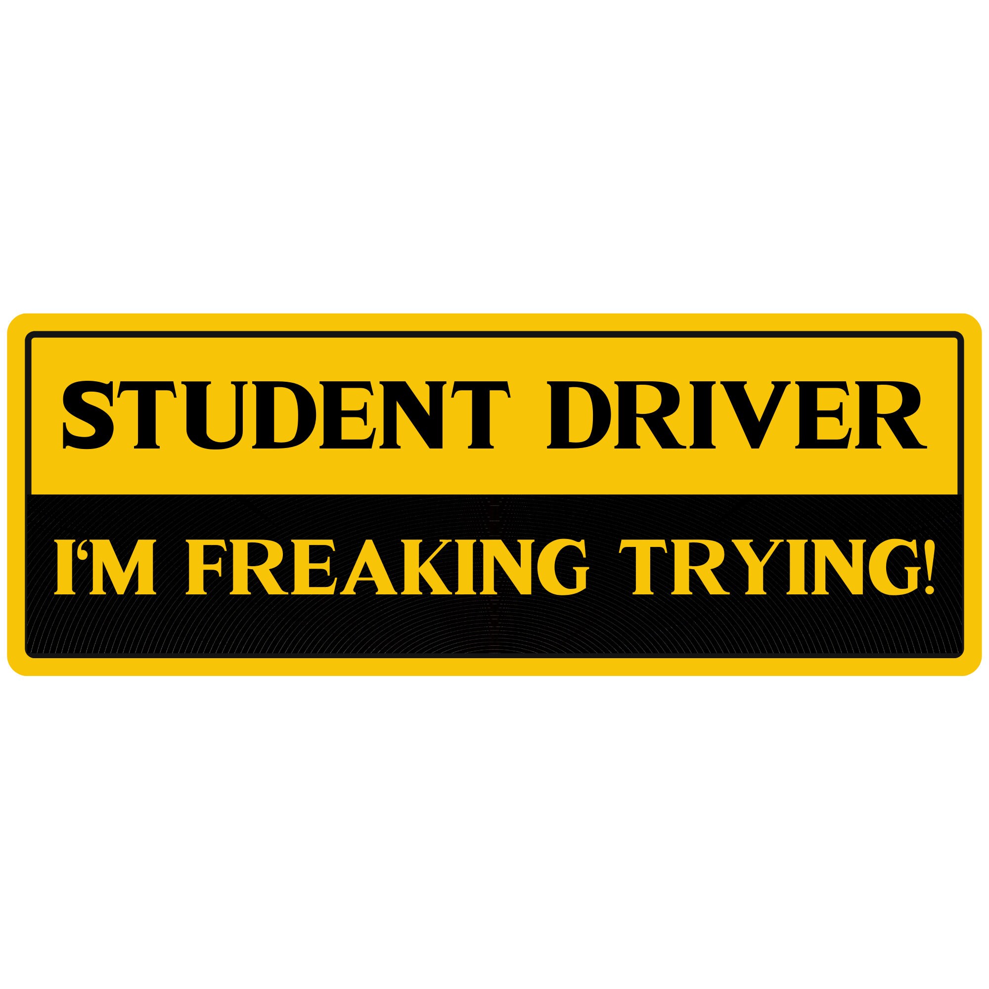 Beginner Driver, Student Driver Svg, Png, Pdf, New Driver Funny Svg ...