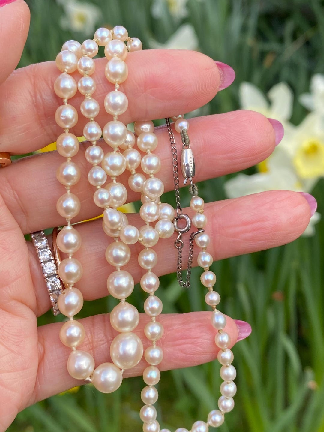 Vintage CIRO Platinum Clasp Single Strand Pearl Necklace - Etsy UK
