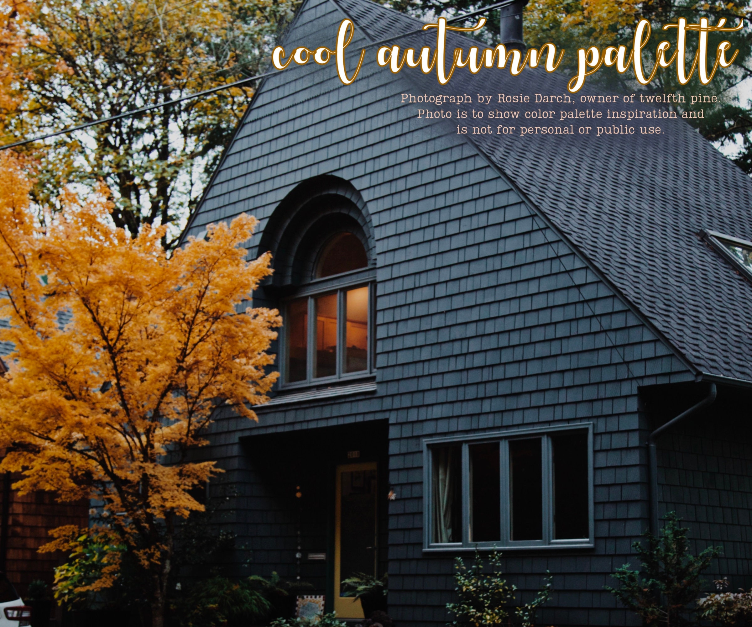 Cool Autumn Color Palette Set of 30 Color Swatches - Etsy