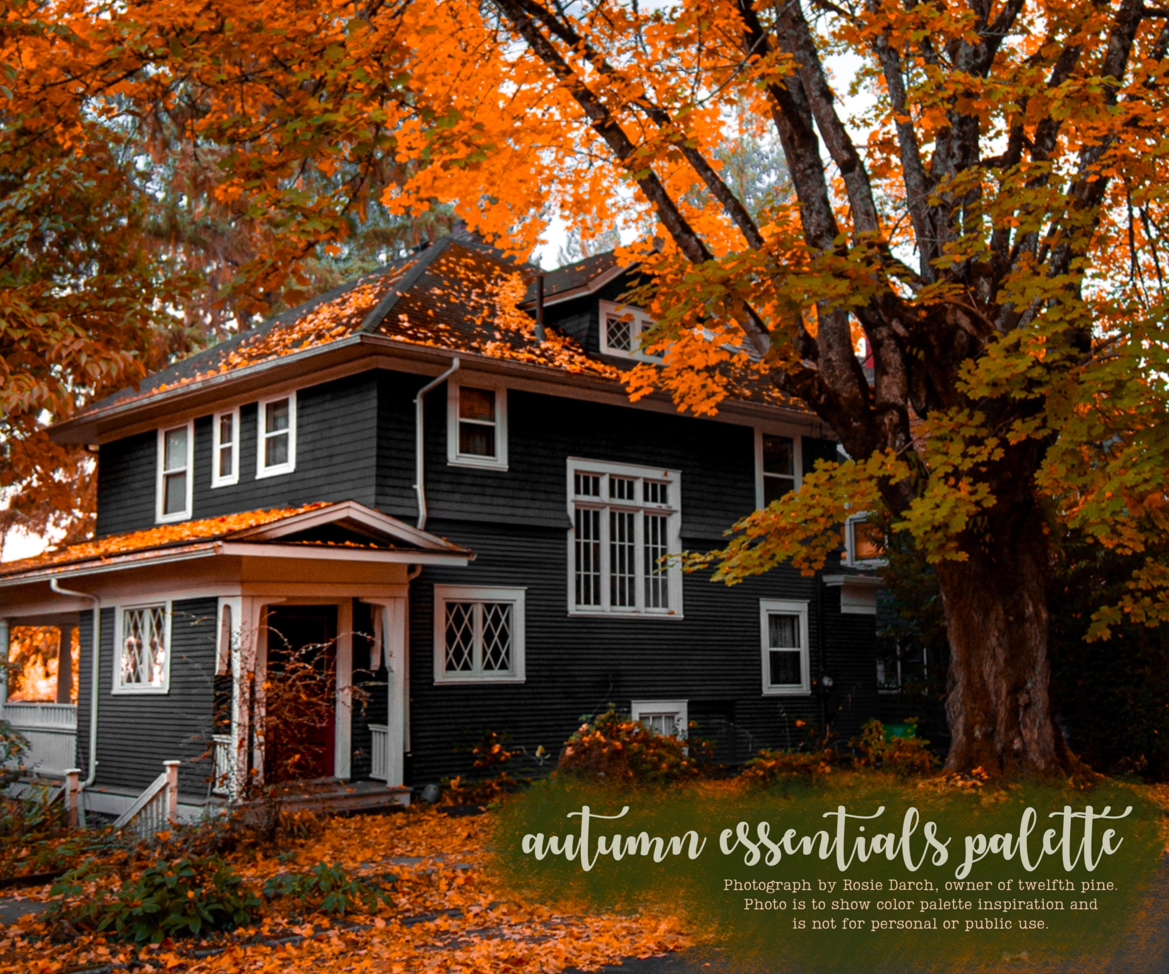 Autumn Essentials Color Palette Set of 30 Color (Download Now) - Etsy