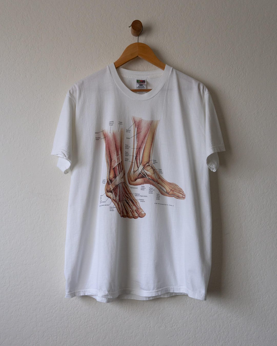 90s Vintage Anatomy Chart Art Graphic T Shirt Kurt Cobain - Etsy