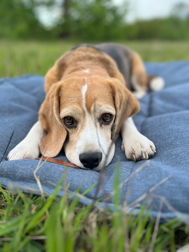 Dog Settle Mat Travel Dog Pad Picnic Pet Blanket Washable - Etsy