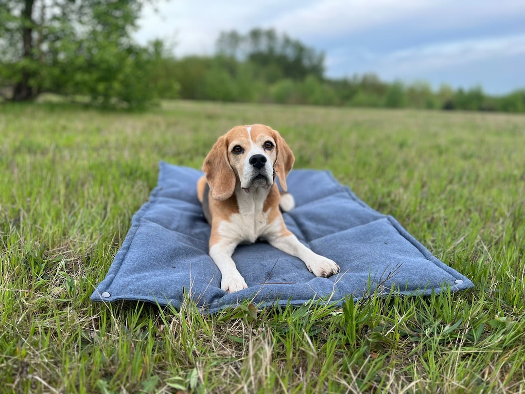 Dog Settle Mat, Travel Dog Pad, Picnic Pet Blanket, Washable Dog Mat, Travel Bed for Dogs ...