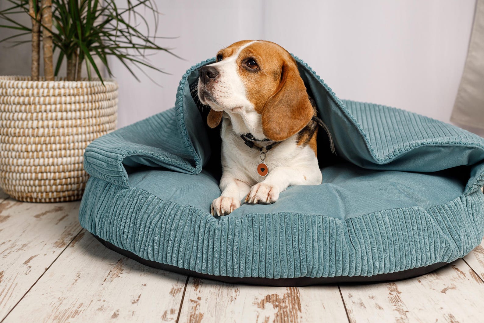 Dog Bed Pattern, Sewing Dog Cave Bed Tutorial A4 US Letter, 3 Sizes DIY ...