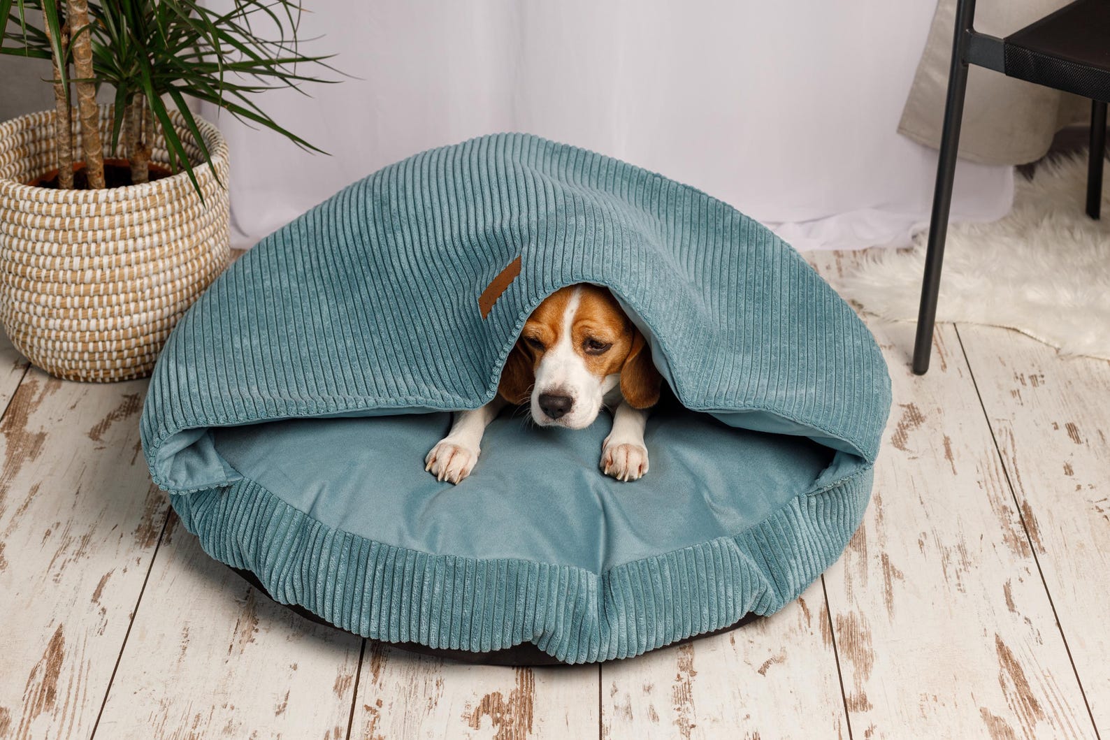 Dog Bed Pattern, Sewing Dog Cave Bed Tutorial A4 US Letter, 3 Sizes DIY ...