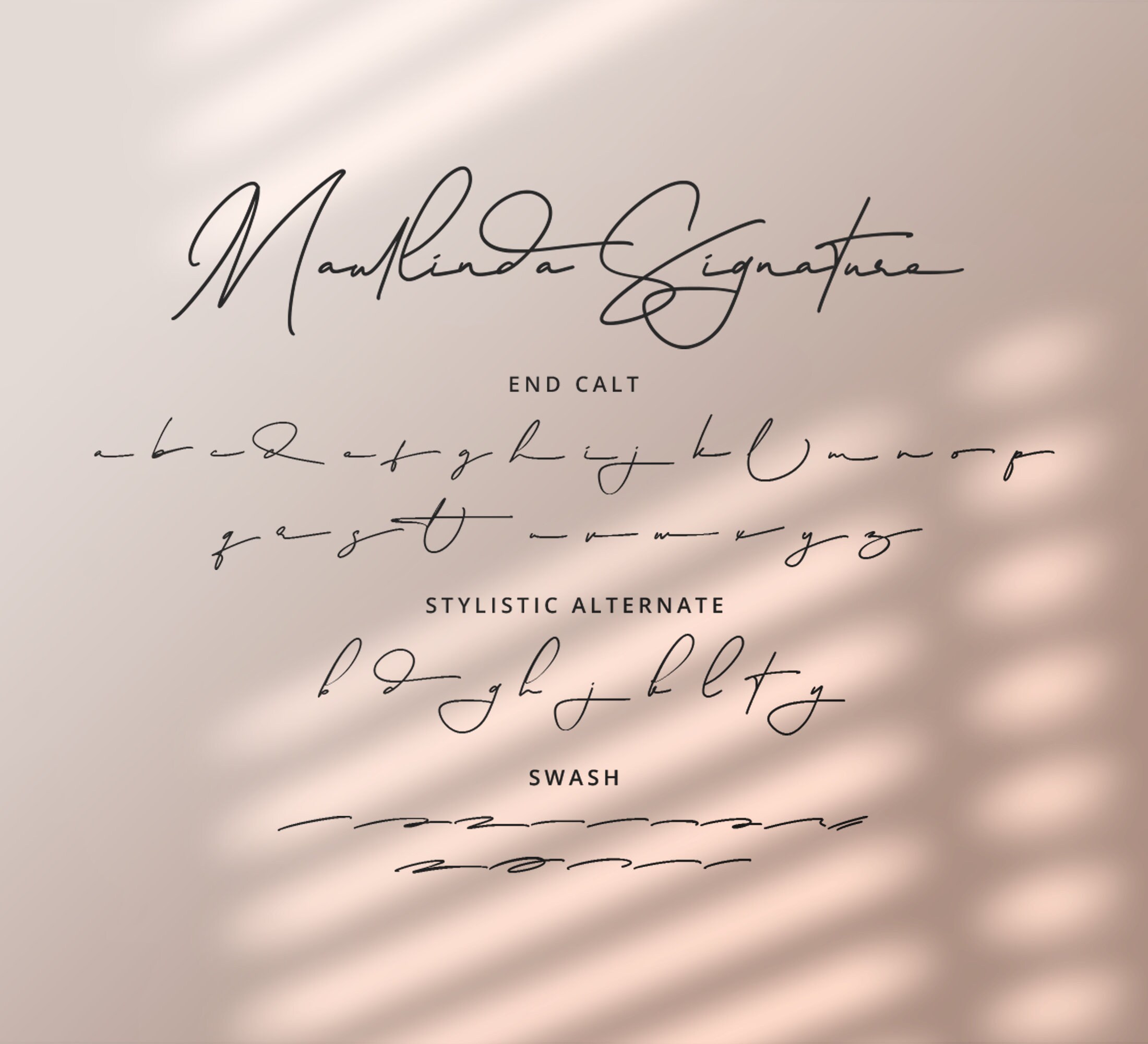 Modern Font, Script Font, Stylish Font, Handwriting Font, Unique Font ...