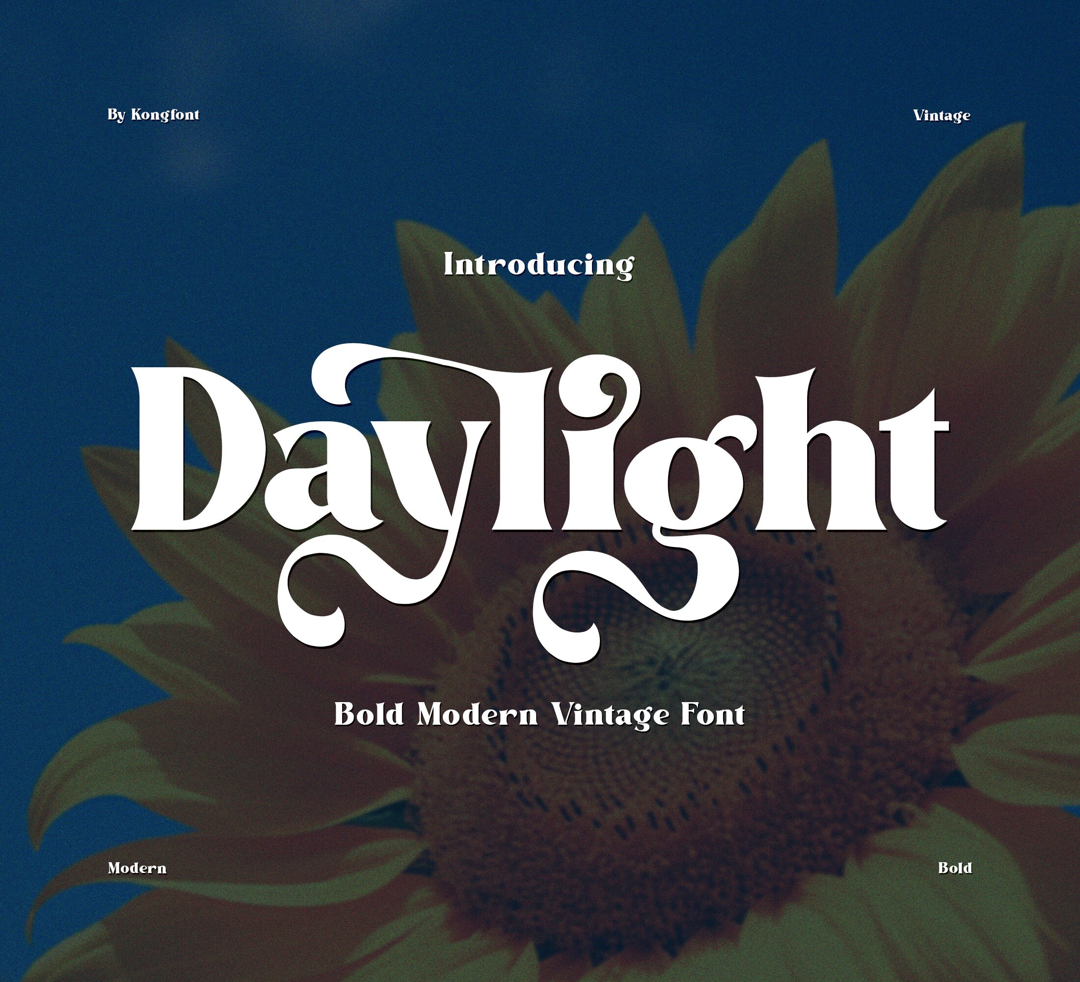 Modern Font, Vintage Font, Creative Font, Design Font, Bold Typeface ...