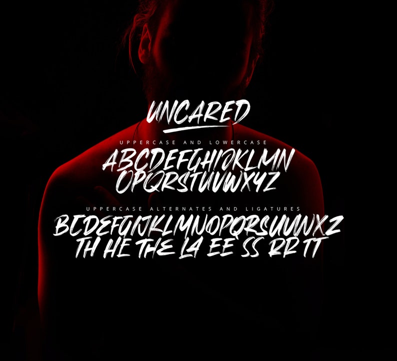 Modern Font, Brush Font, Branding Fonts, Commercial Fonts, Bold Font ...