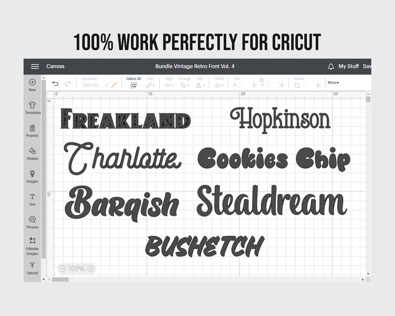 Vintage Retro Font Bundle | Instant Download | Canva, Cricut, Procreate ...