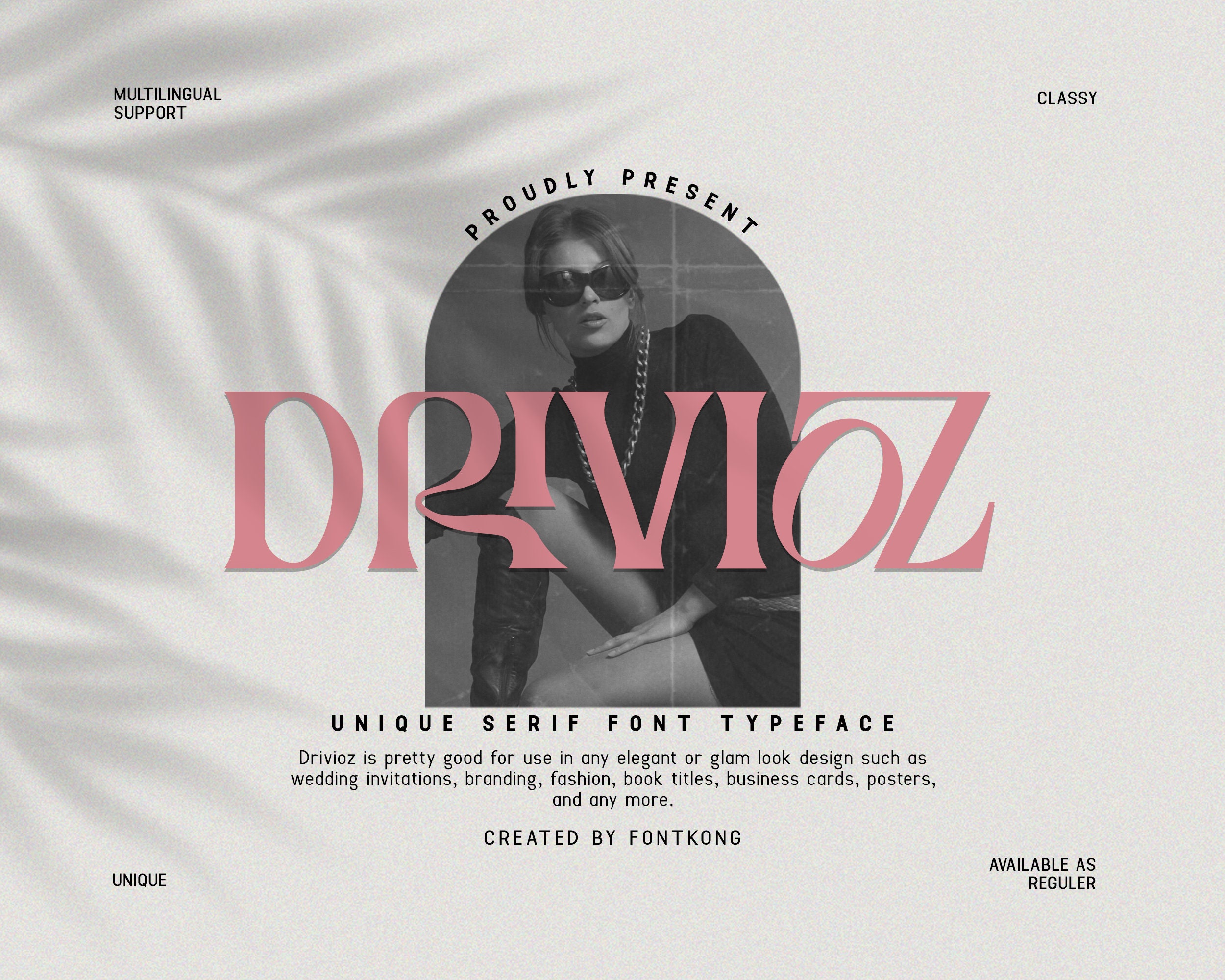 Modern Font, Serif Font, Digital Font - Drivioz Unique Serif Typeface ...