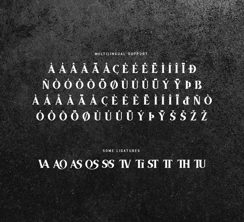Aostiva Modern Serif Font, Elegant Typeface (TTF, OTF, WOFF) - Etsy