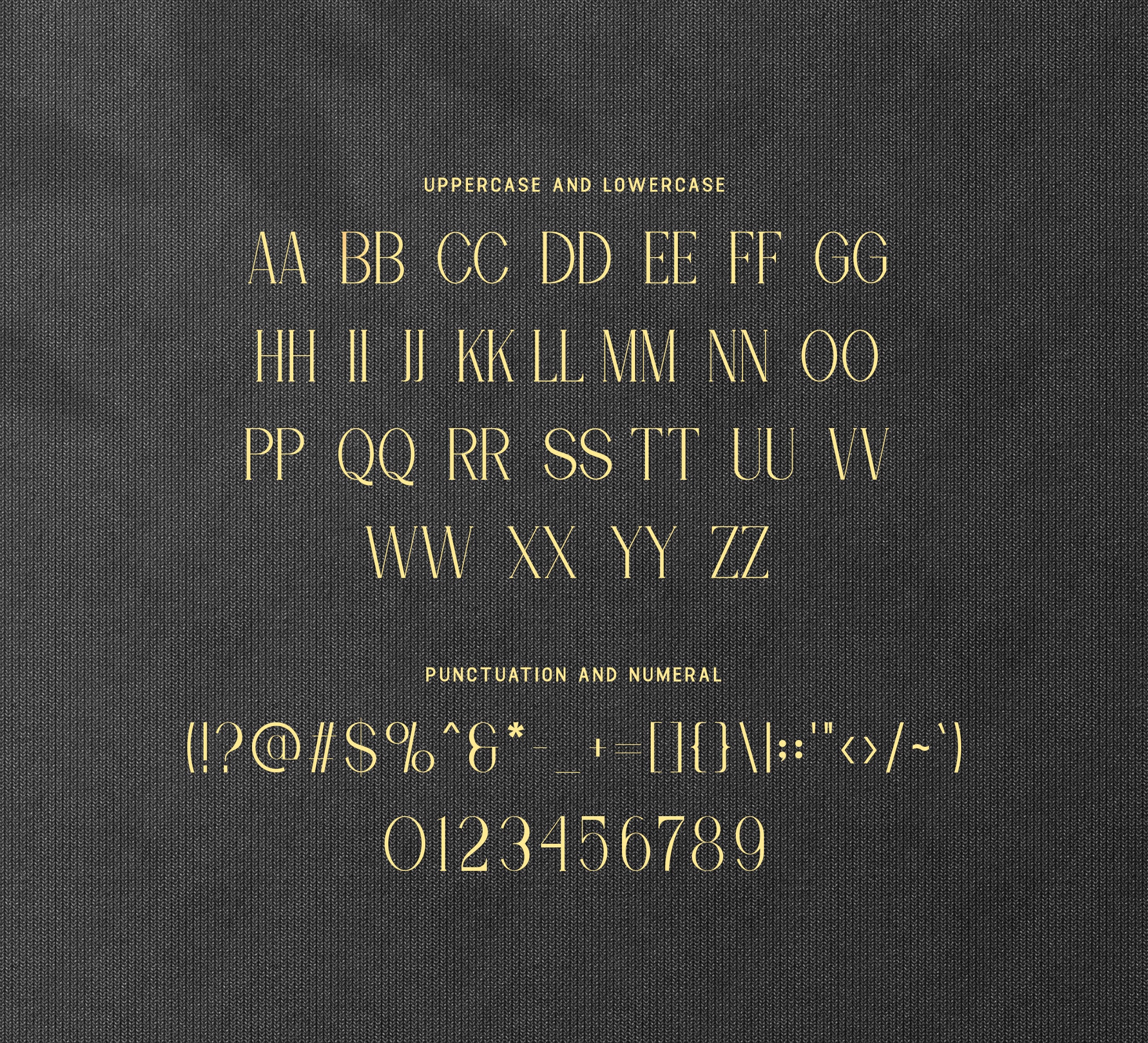 Queen Serif Embroidery Font, Elegant Modern Typeface (digital Download ...