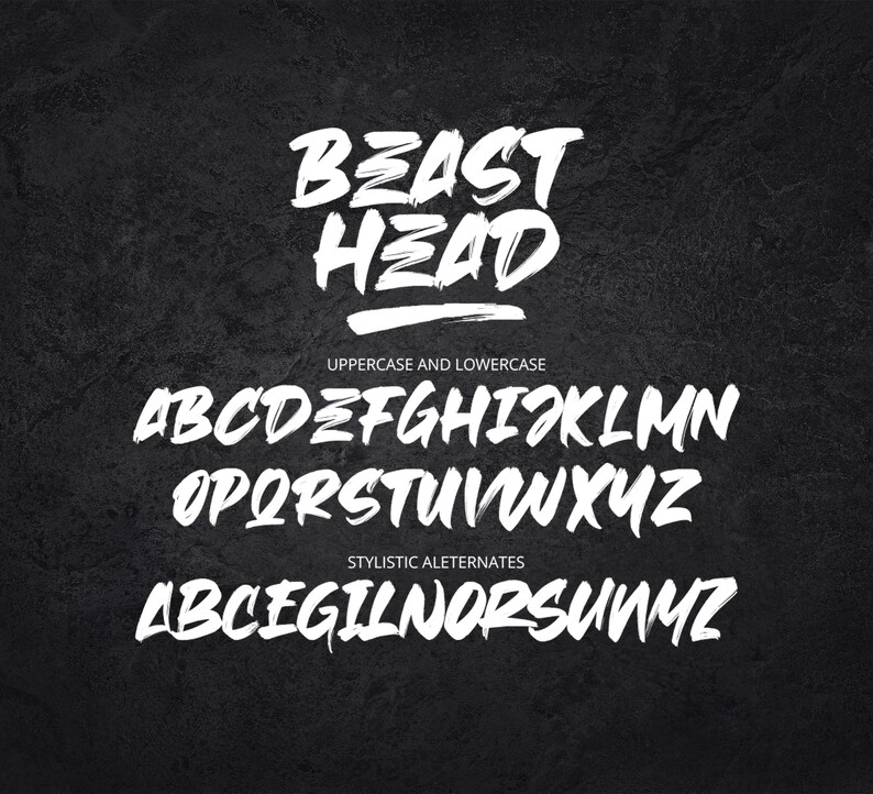 Modern Brush Font, Brush Script, Unique Font, Handwritten Design ...