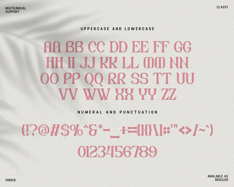 Modern Font, Serif Font, Digital Font Drivioz Unique Serif Typeface ...