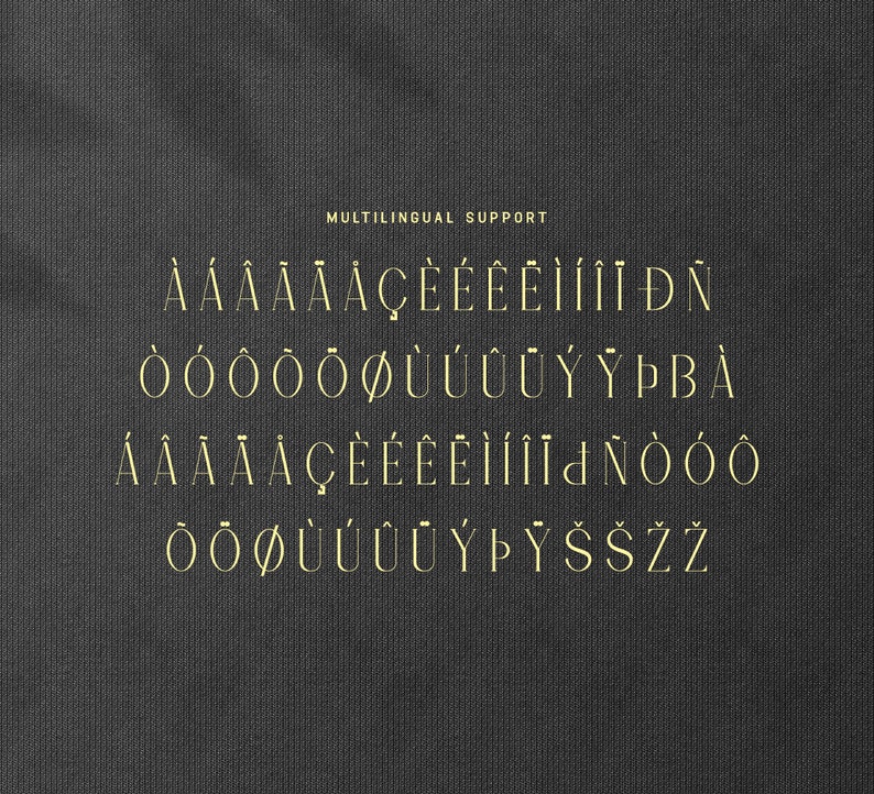 Queen Serif Embroidery Font, Elegant Modern Typeface (digital Download ...