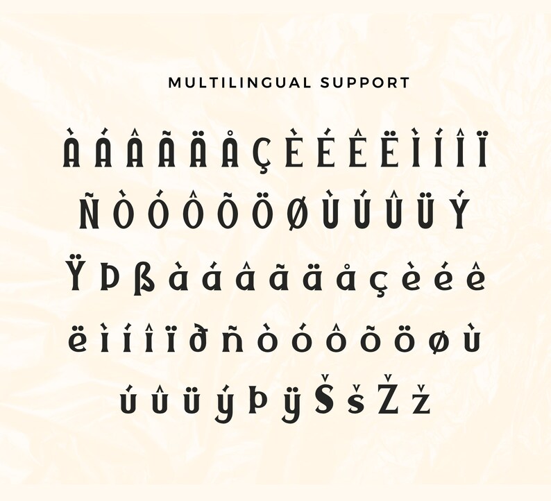 Basilisk Modern Serif Font, Elegant Typeface (TTF, OTF, WOFF) - Etsy