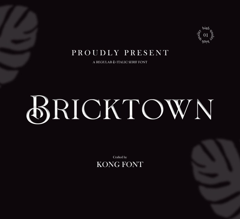 Bricktown Serif Font, Bold Classic Typeface (TTF, OTF, WOFF Files) - Etsy