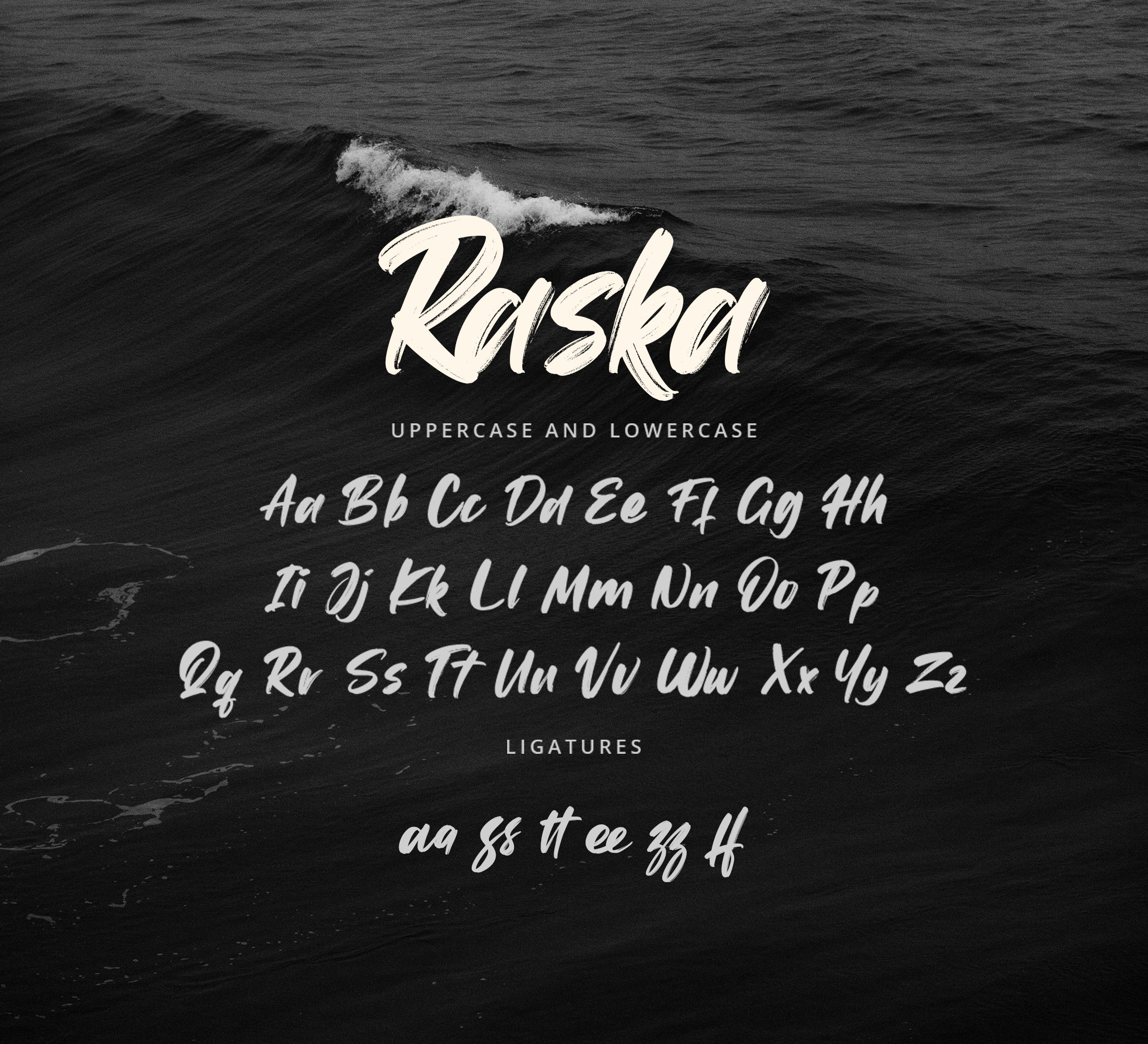 Modern Font, Bold Brush Font, Artistic Font, Handwriting Font Raska ...