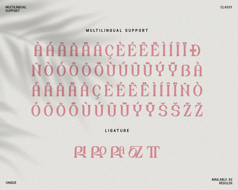 Modern Font, Serif Font, Digital Font Drivioz Unique Serif Typeface ...