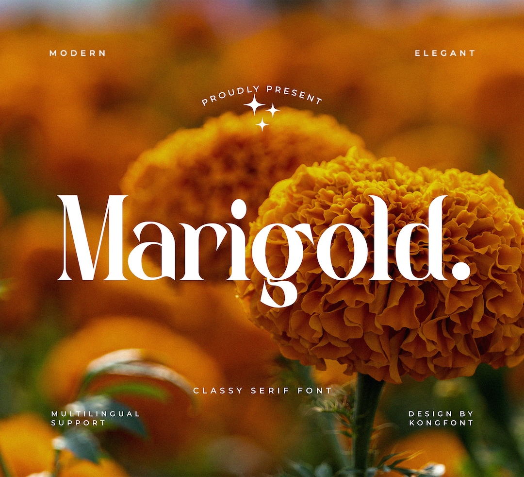 Modern Font, Marigold Font, Serif Font, Classy Typeface, Font Design ...