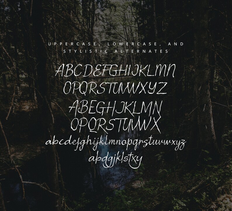 Modern Font, Display Font, Bold Typeface, Stylish Font - Flush Display ...