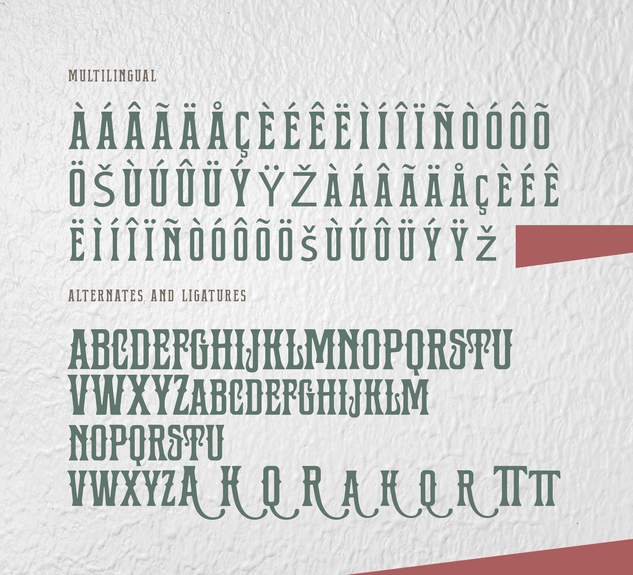 Modern Font, Display Font, Serif Typeface, Professional Font - Stylish ...