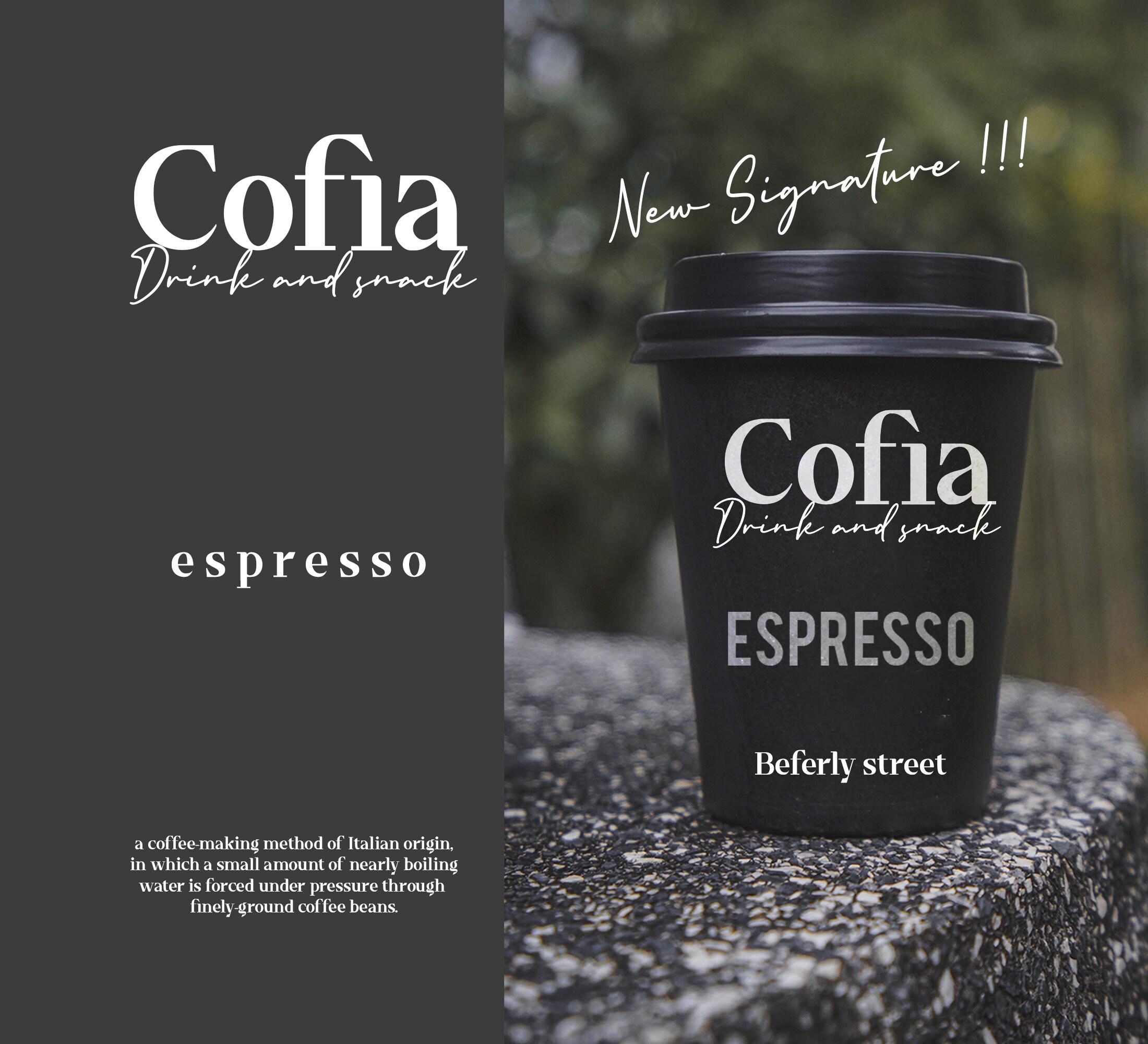 Modern Font, Serif Font, Timeline Font, Design Font, Professional Serif ...