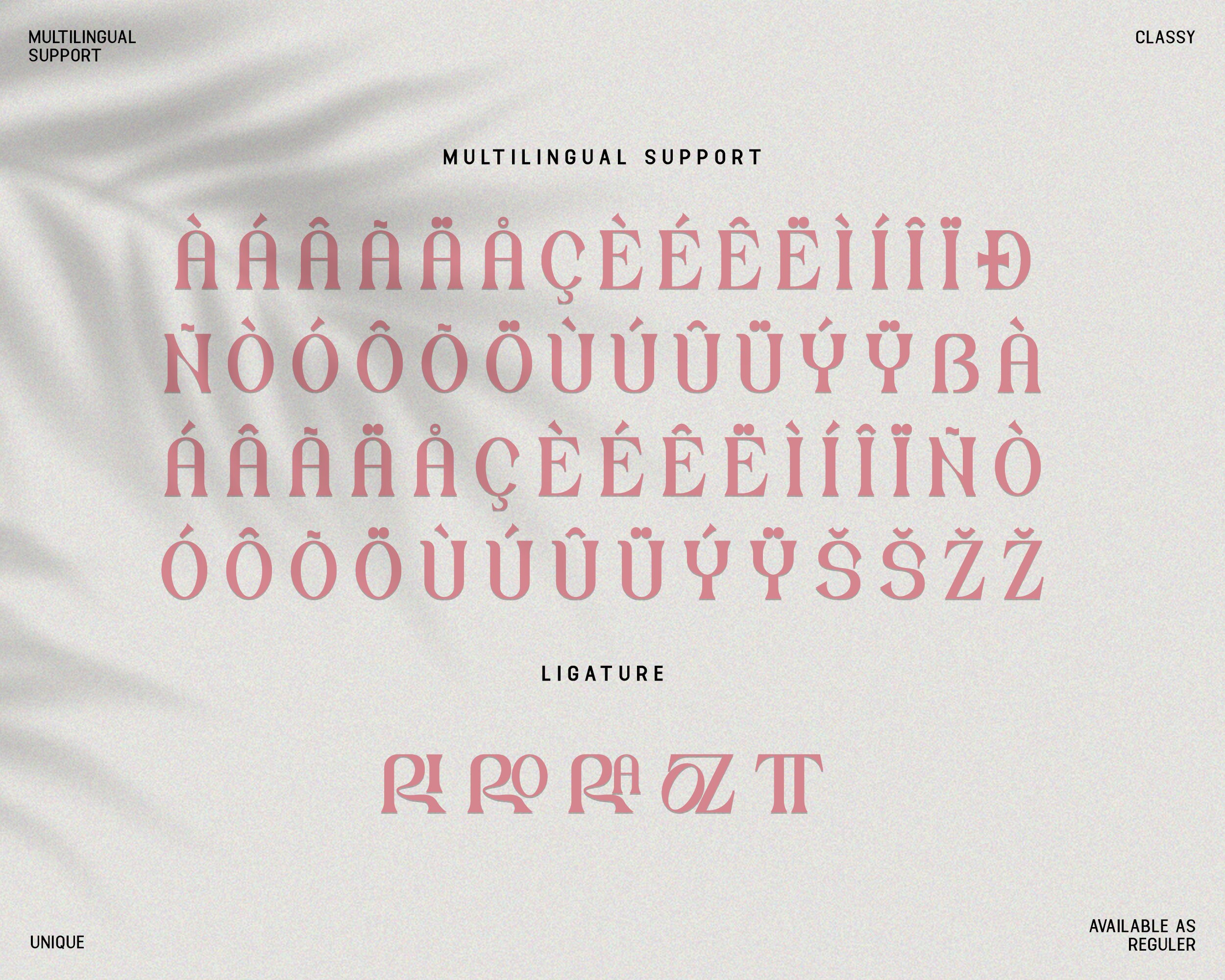 Modern Font, Serif Font, Digital Font Drivioz Unique Serif Typeface: Achieve an Elegant or ...