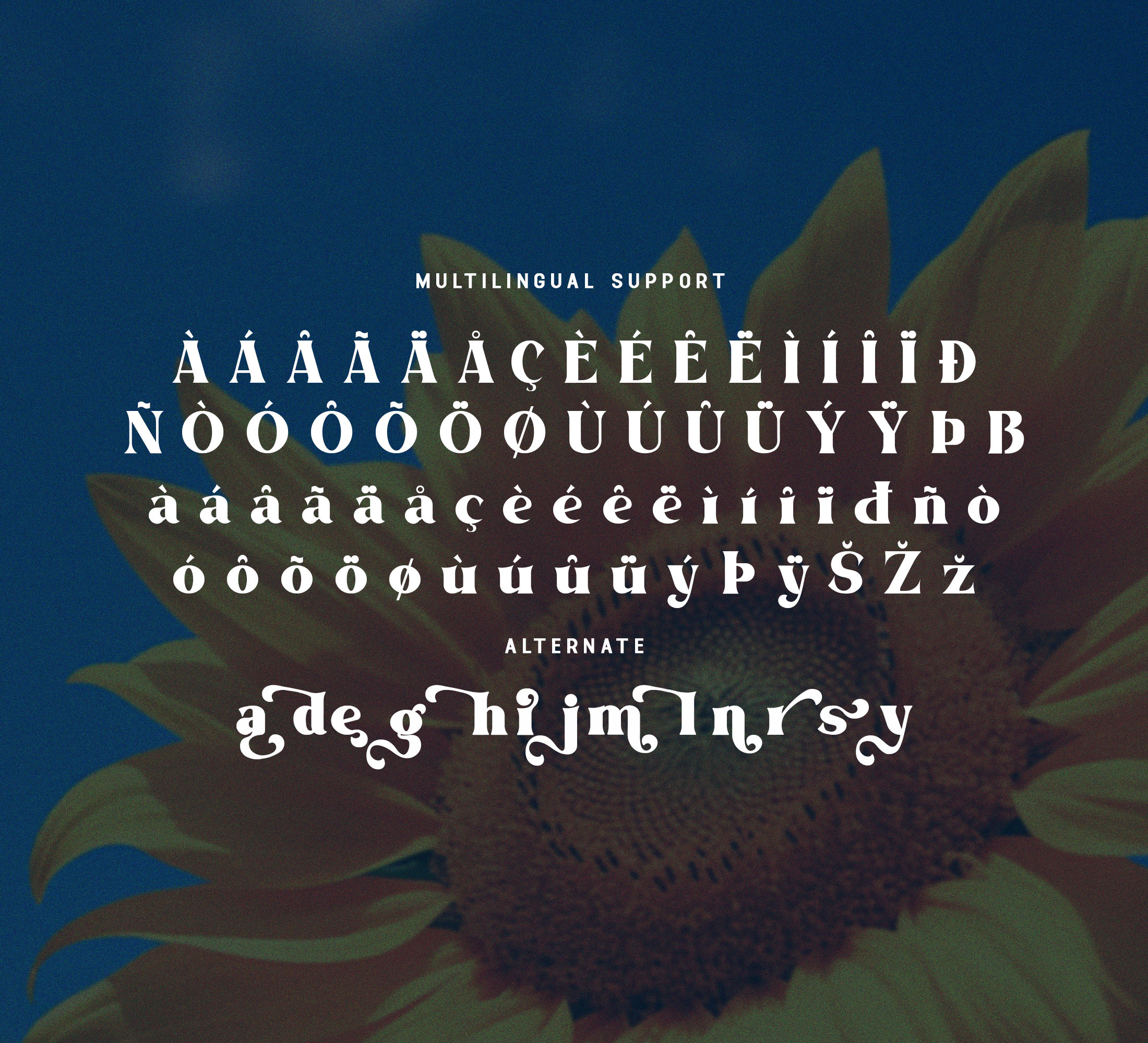 Modern Font, Vintage Font, Creative Font, Design Font, Bold Typeface ...