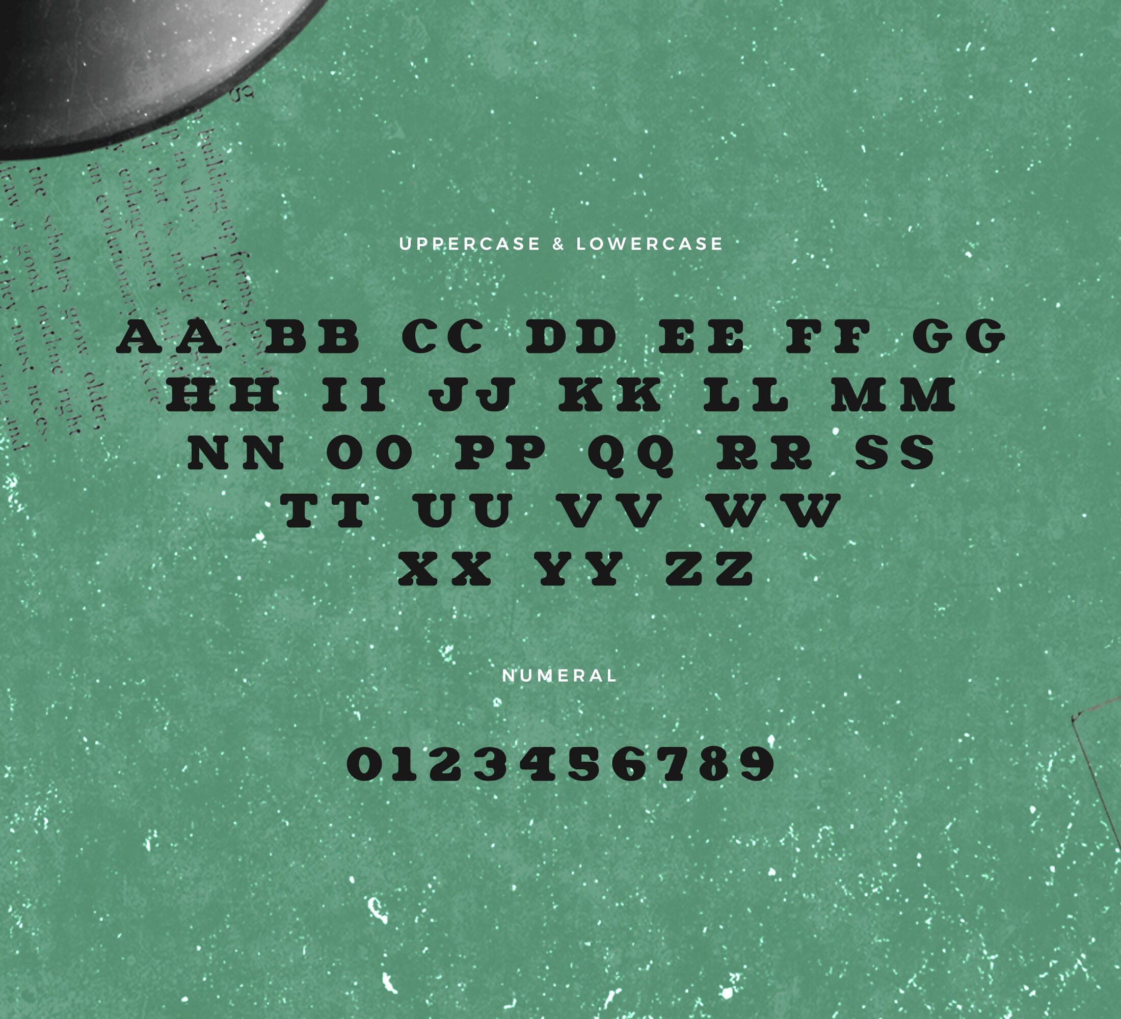 Modern Font, Elegant Font, Oldish Font, Display Font, Stylish Typeface ...