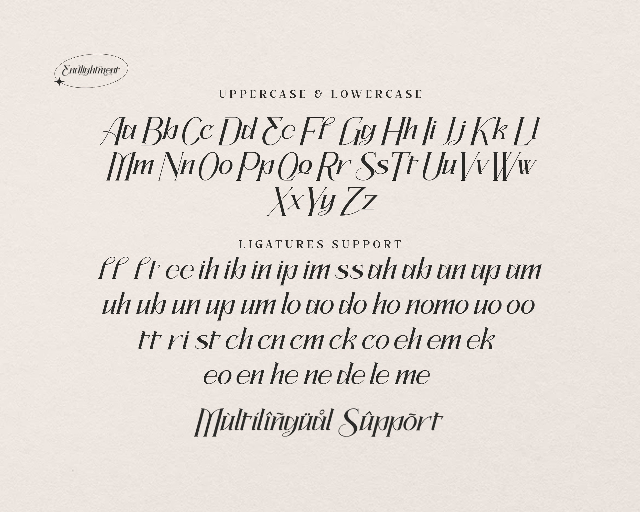 Endlightment Elegant Serif Font, Modern Typography (TTF, OTF, WOFF) - Etsy
