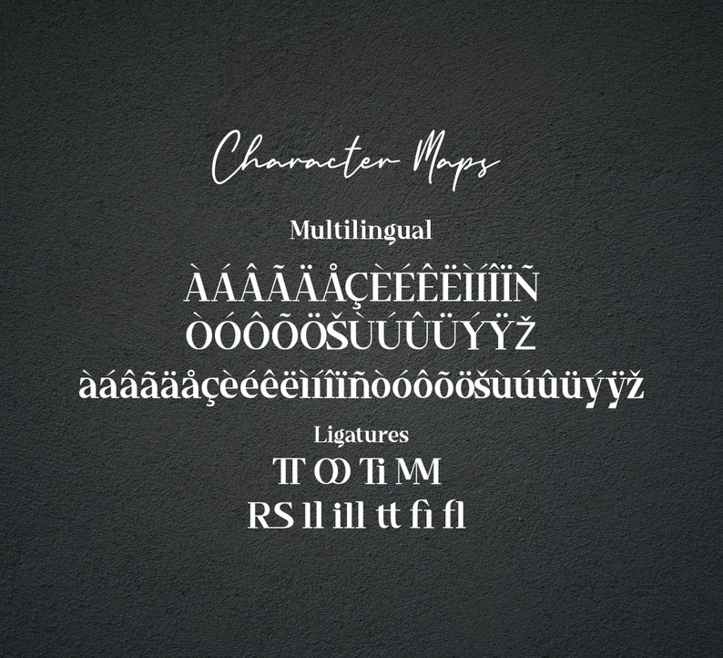 Modern Font, Serif Font, Timeline Font, Design Font, Professional Serif ...