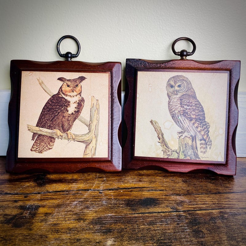 Owl Wall Plaque - Etsy