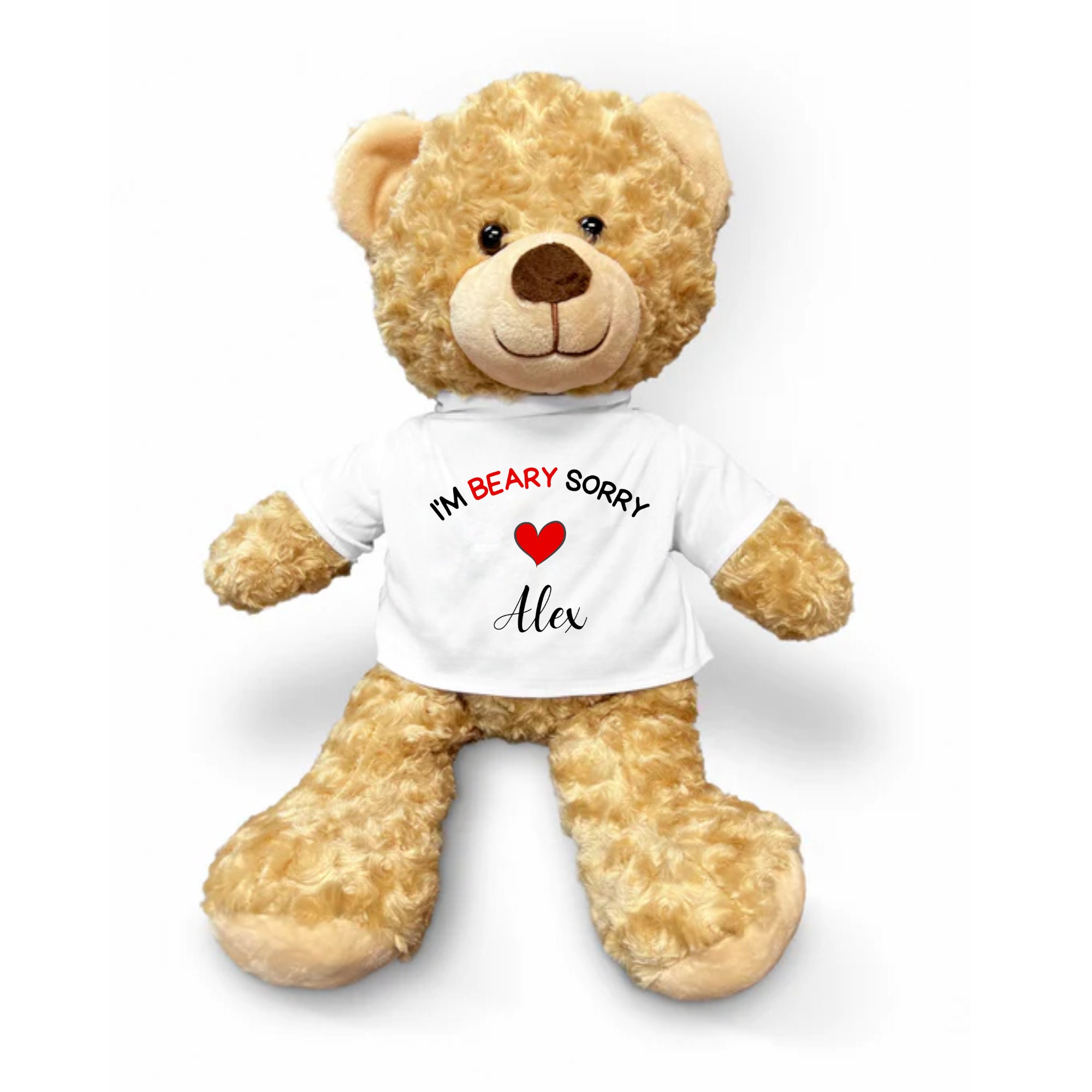 Im Sorry Teddy Bear, Im Beary Sorry Bear, Sorry Teddy Bear, I'm Sorry ...