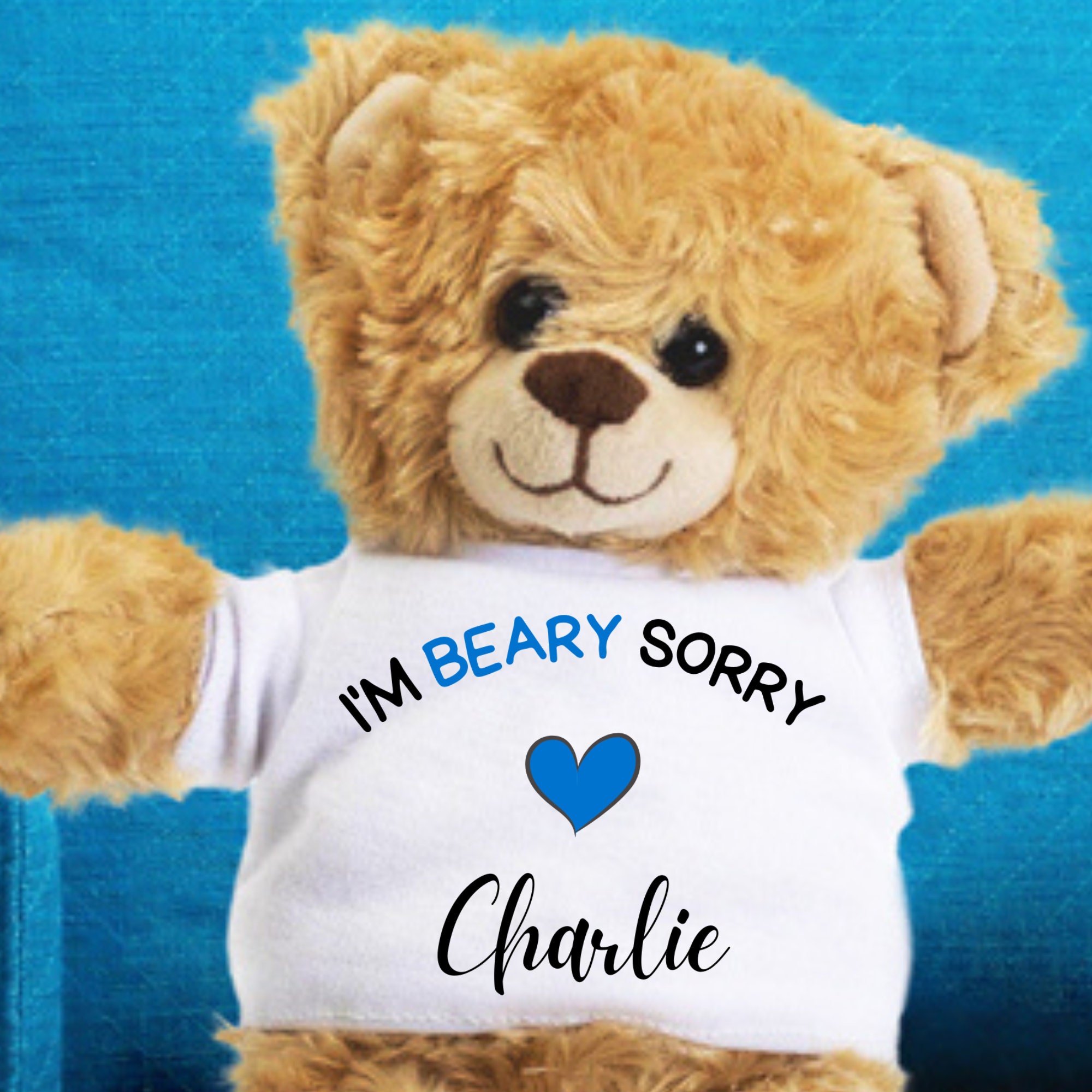 Im Sorry Teddy Bear, Im Beary Sorry Bear, Sorry Teddy Bear, I'm Sorry ...