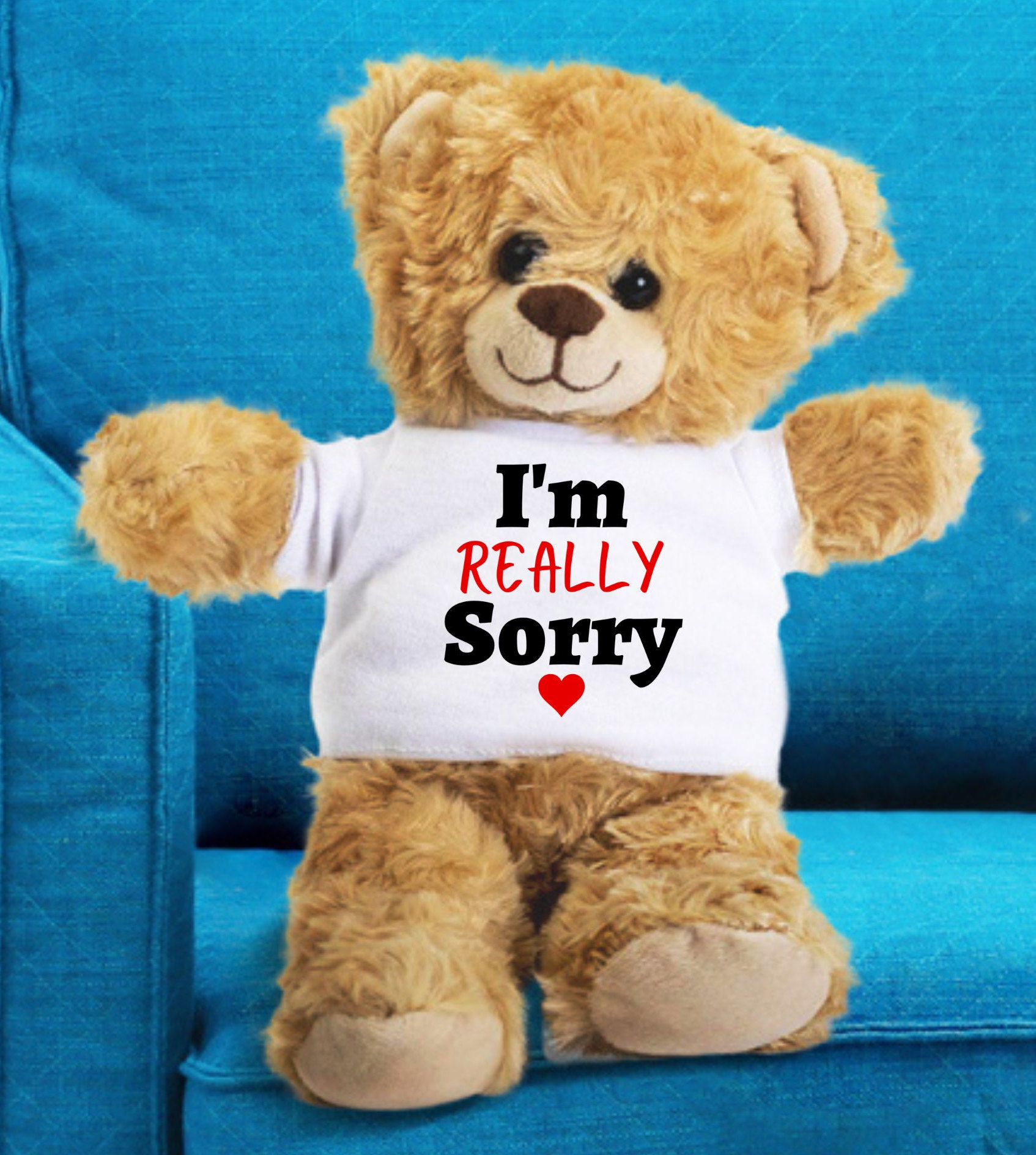 Apology Gift, Im Really Sorry Teddy Bear, Im Sorry Gift, I'm Sorry Gift ...